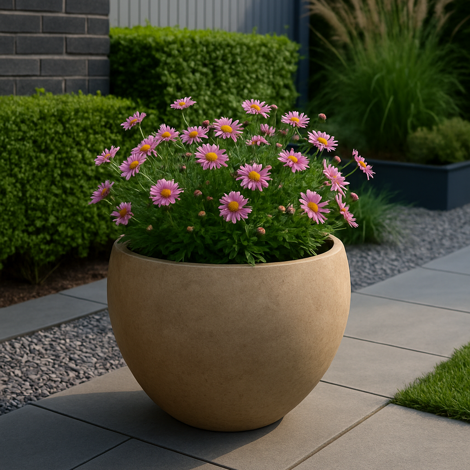 Rustic Egg Planter - Sand – Rago UK Planters