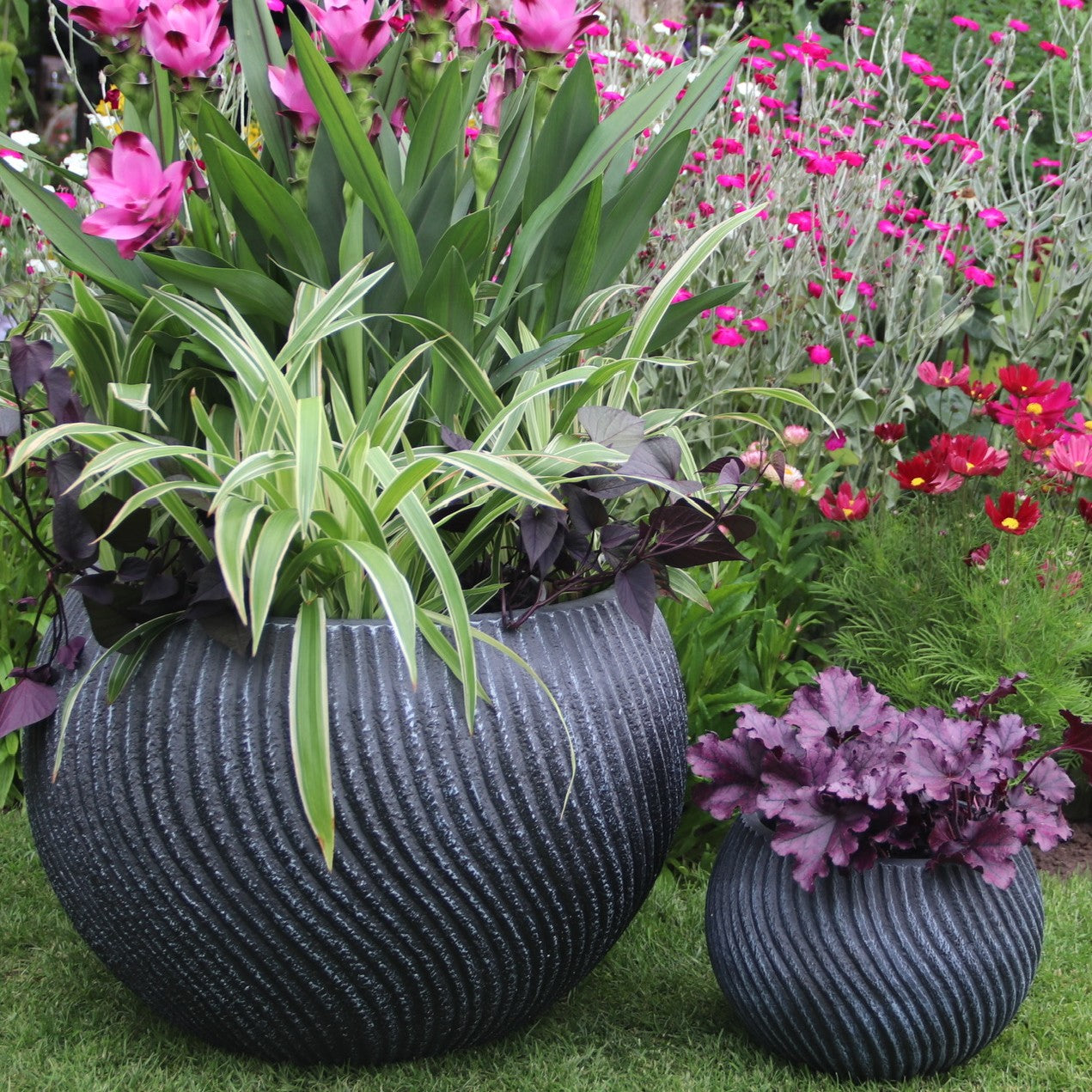 Swirl Bowl Planter – Rago UK Planters