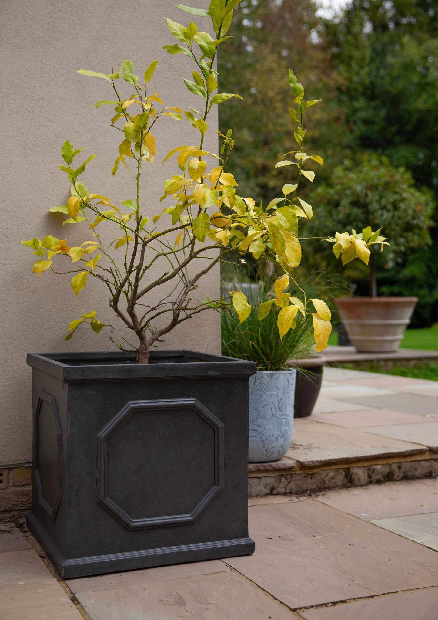 Chelsea Box Planter – Rago UK Planters